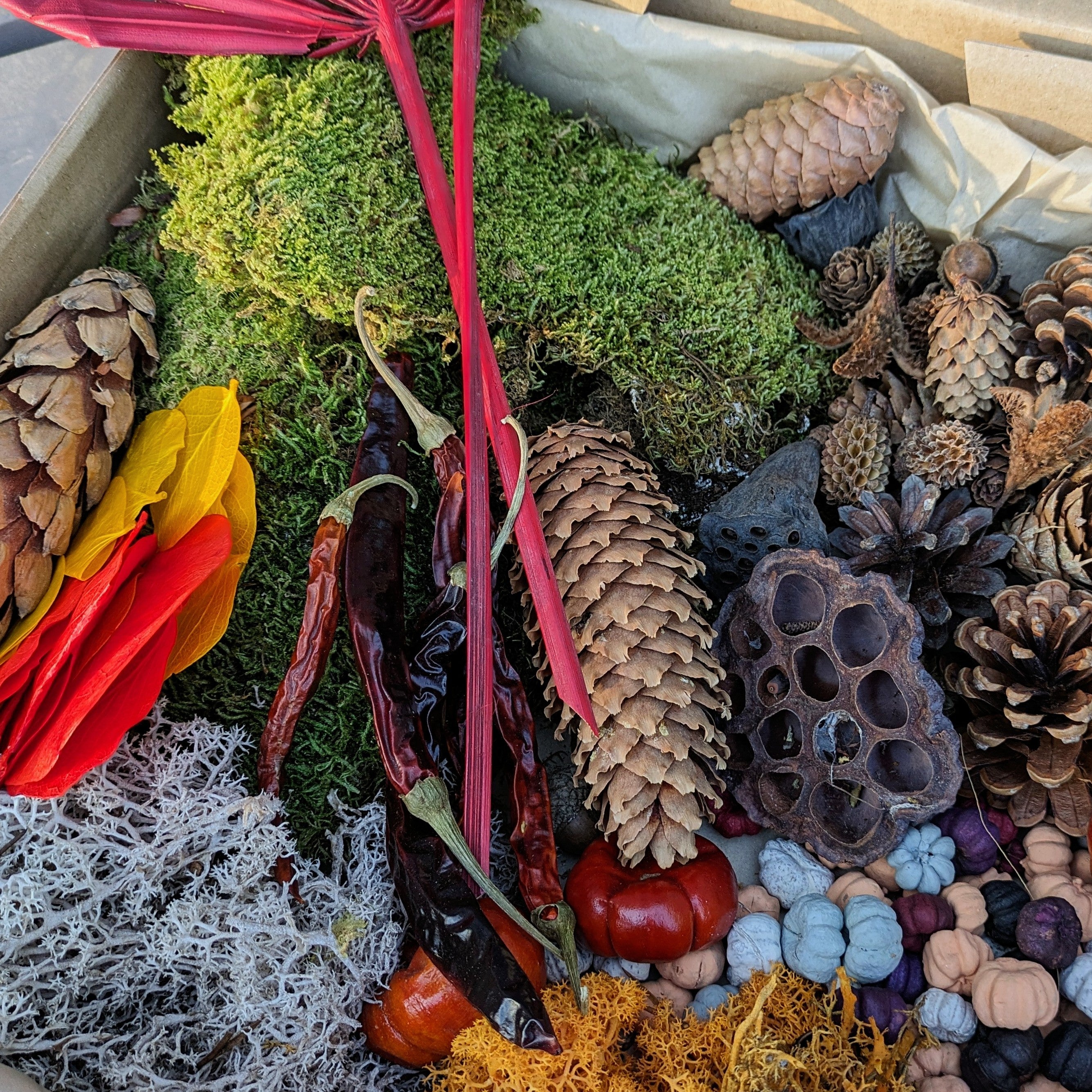 Natural Floristry Display Box - AUTUMN – The Danes