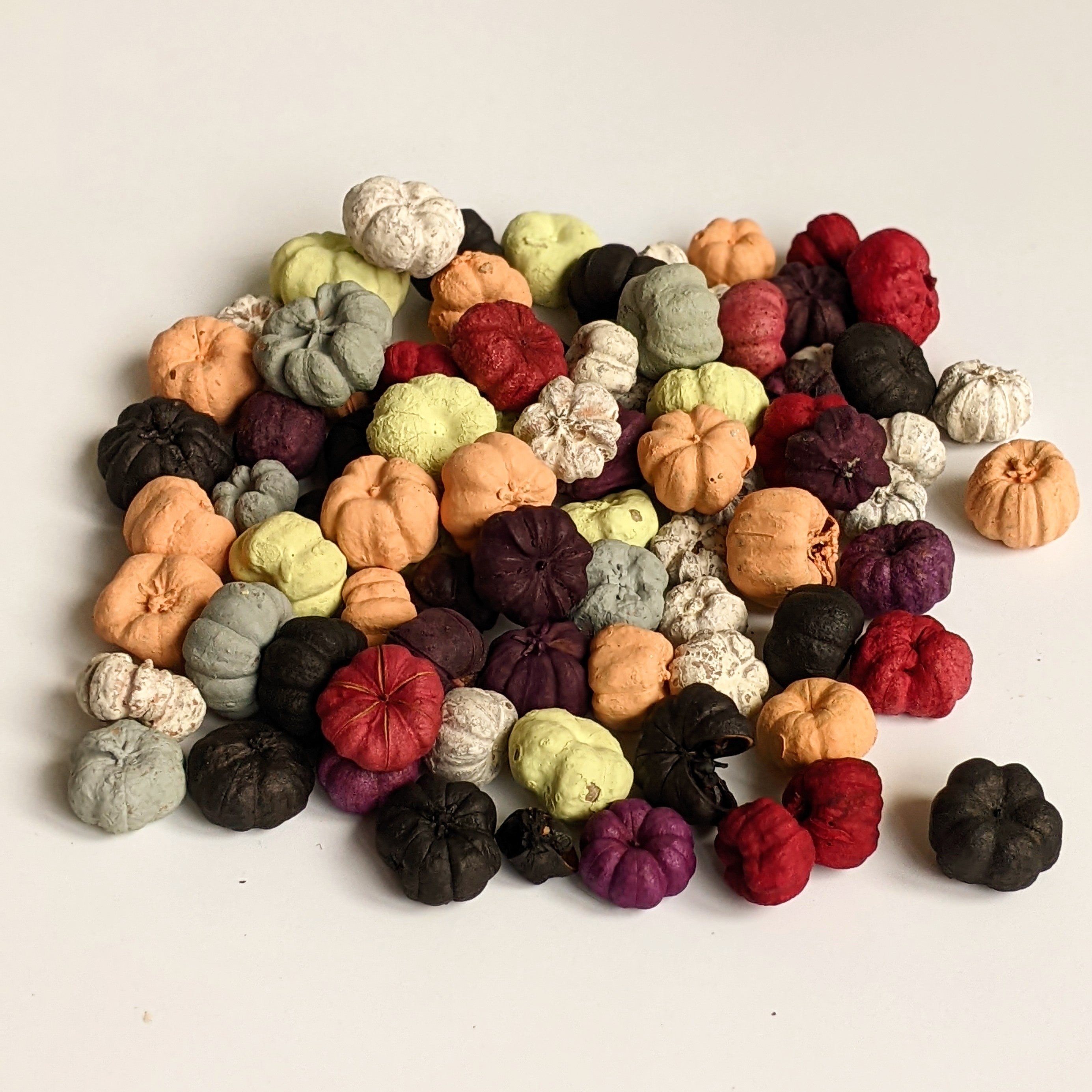 Putka Pods | Mixed Colours | Dried Mini 'Pumpkins' for Halloween Crafts ...