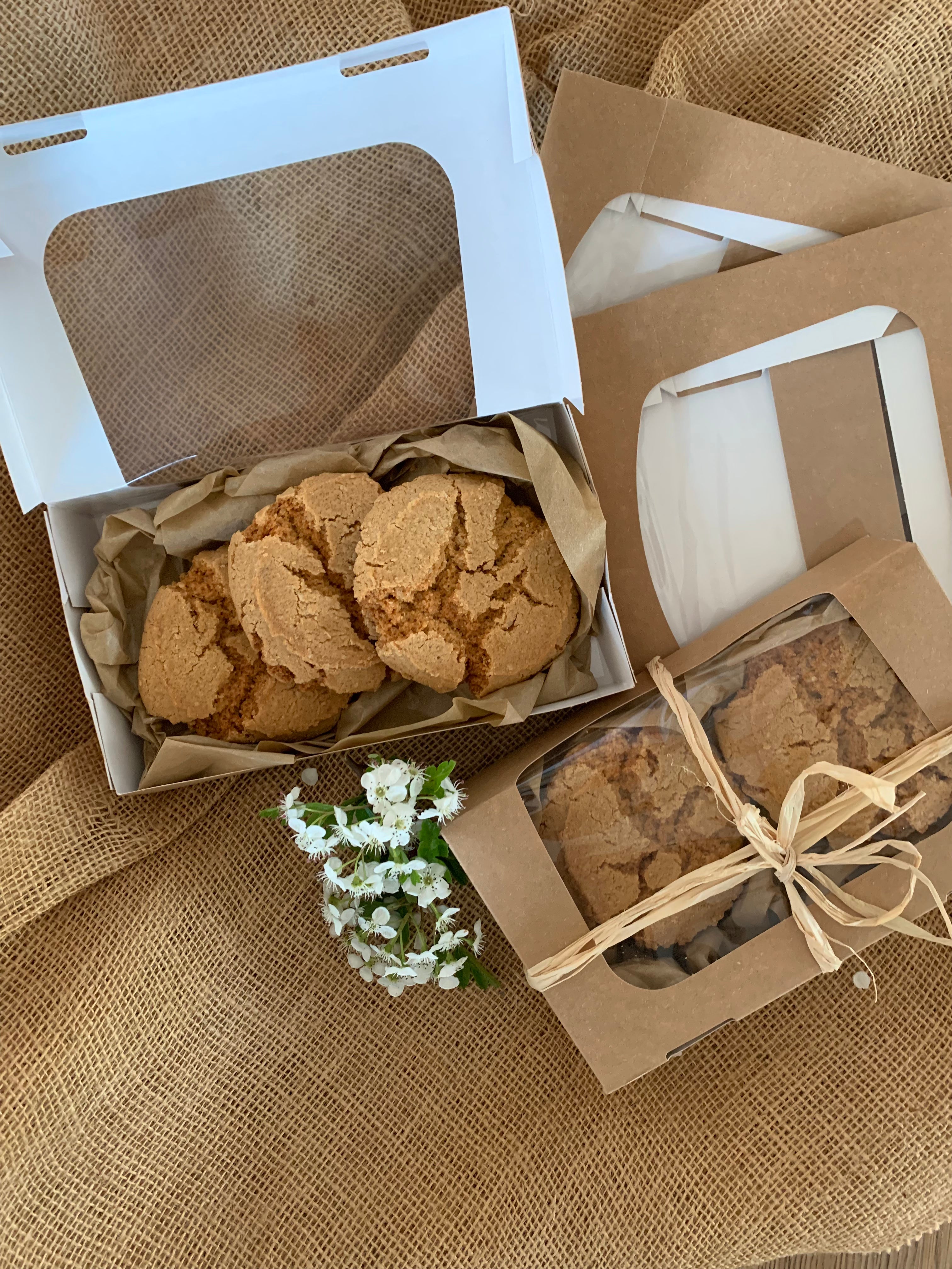 Kraft Pop-Up Box with PLA Window - 2 Sizes – The Danes